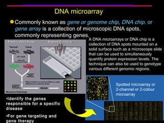 Current Trends in Molecular Biology and BioTechnology (ppt) | PPT