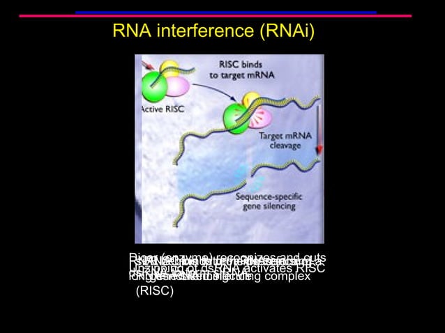 Current Trends in Molecular Biology and BioTechnology (ppt) | PPT