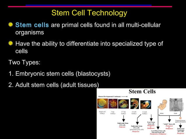 Current Trends in Molecular Biology and BioTechnology (ppt) | PPT