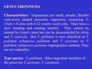 Treponema.ppt