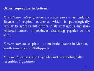 Treponema.ppt | Infectious Diseases | Diseases and Conditions