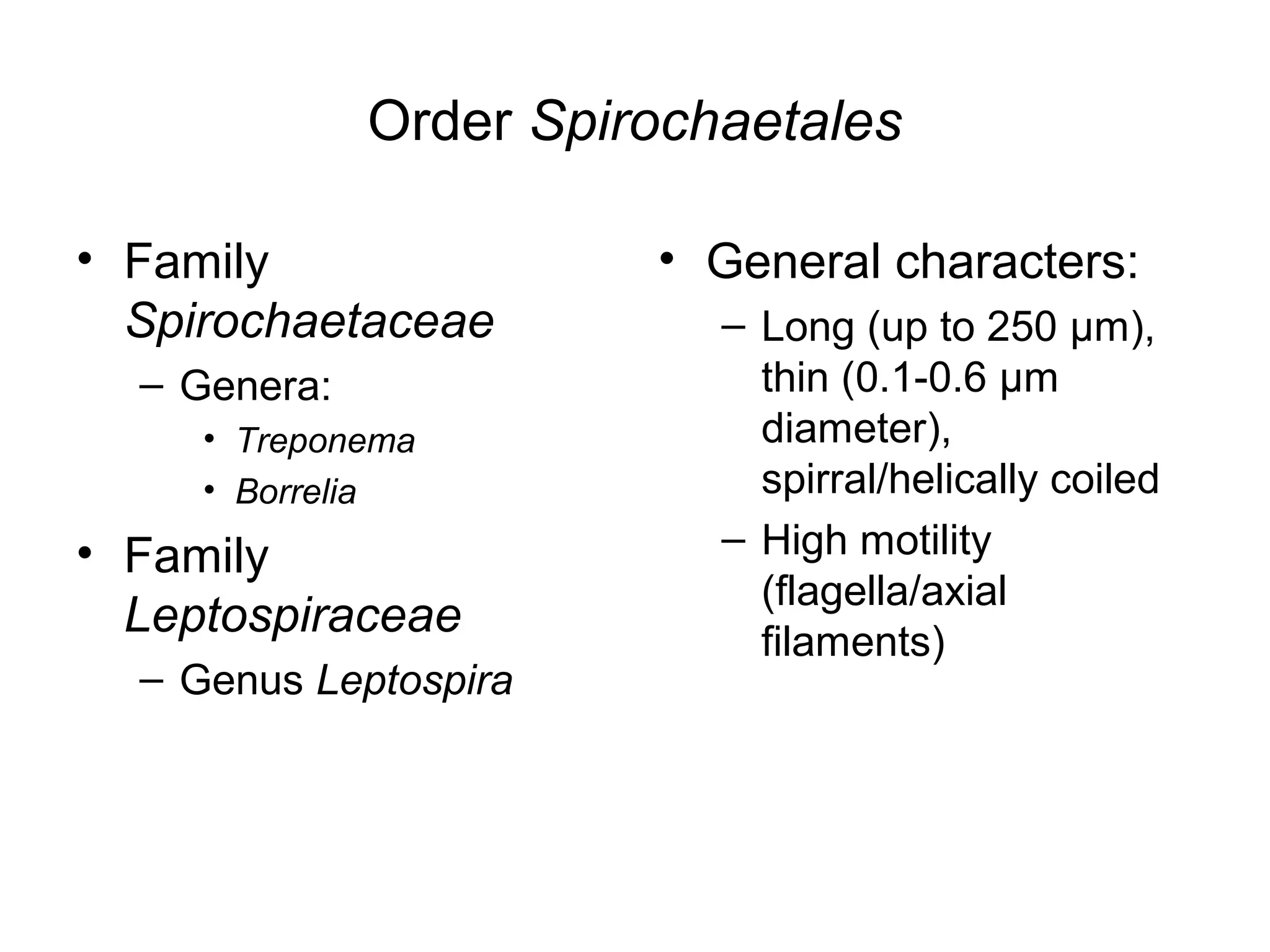 Treponema borrelia leptospira | PPT