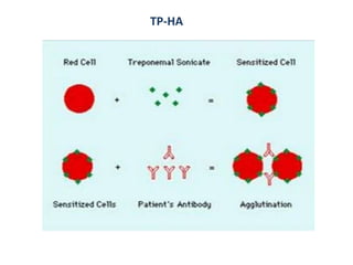 Treponemal Tests for Syphilis | PPTX