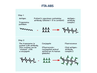 Treponemal Tests for Syphilis | PPTX