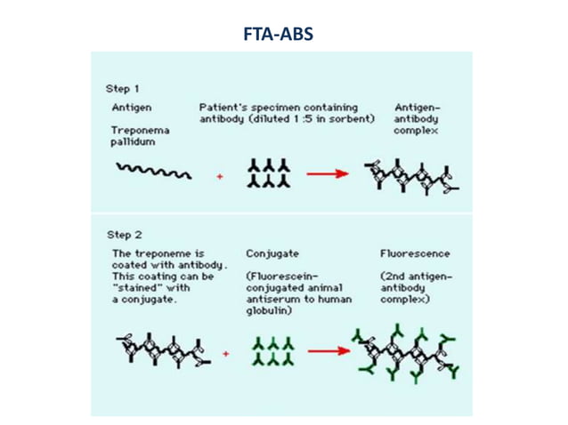 Treponemal Tests for Syphilis | PPTX
