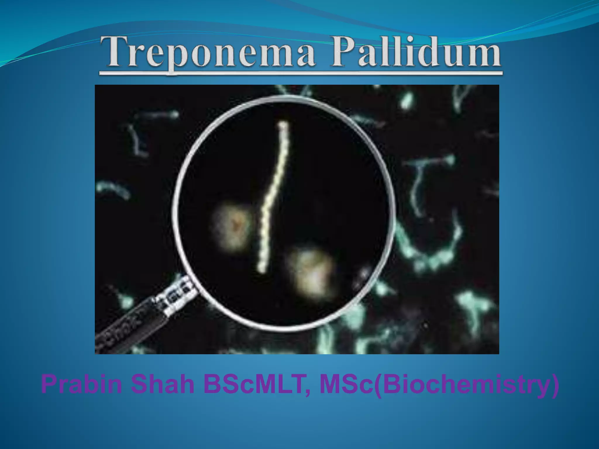 Treponema pallidum | PPTX