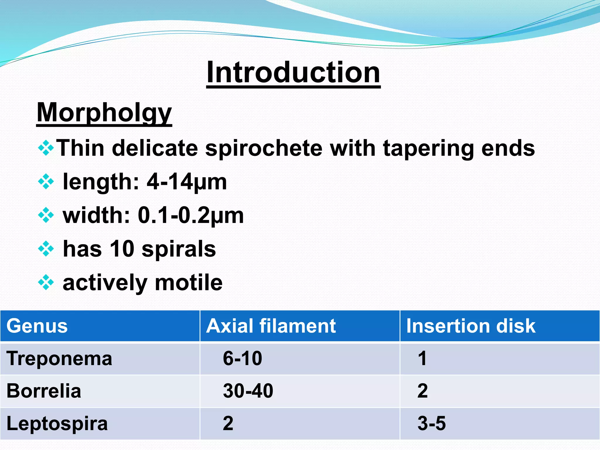 Treponema pallidum | PPTX
