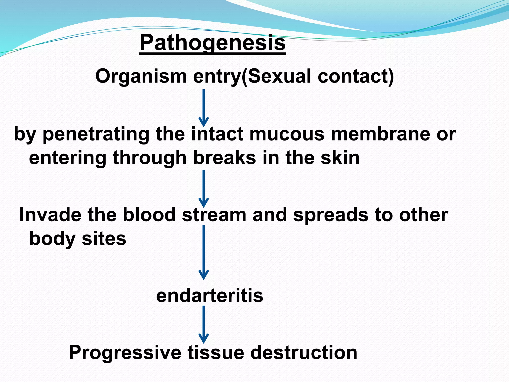 Treponema pallidum | PPTX