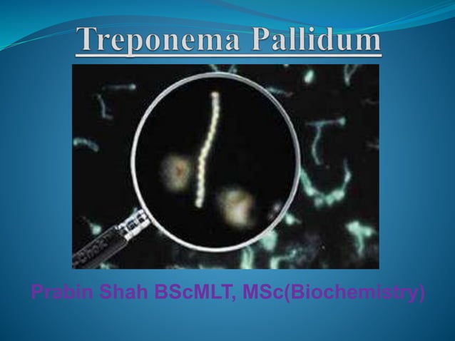 Treponema pallidum | PPTX | Infectious Diseases | Diseases and Conditions
