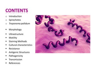Treponema pallidum | PPTX