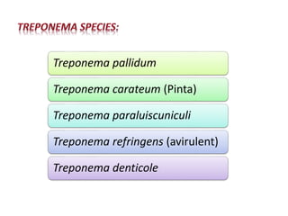 Treponema pallidum | PPTX