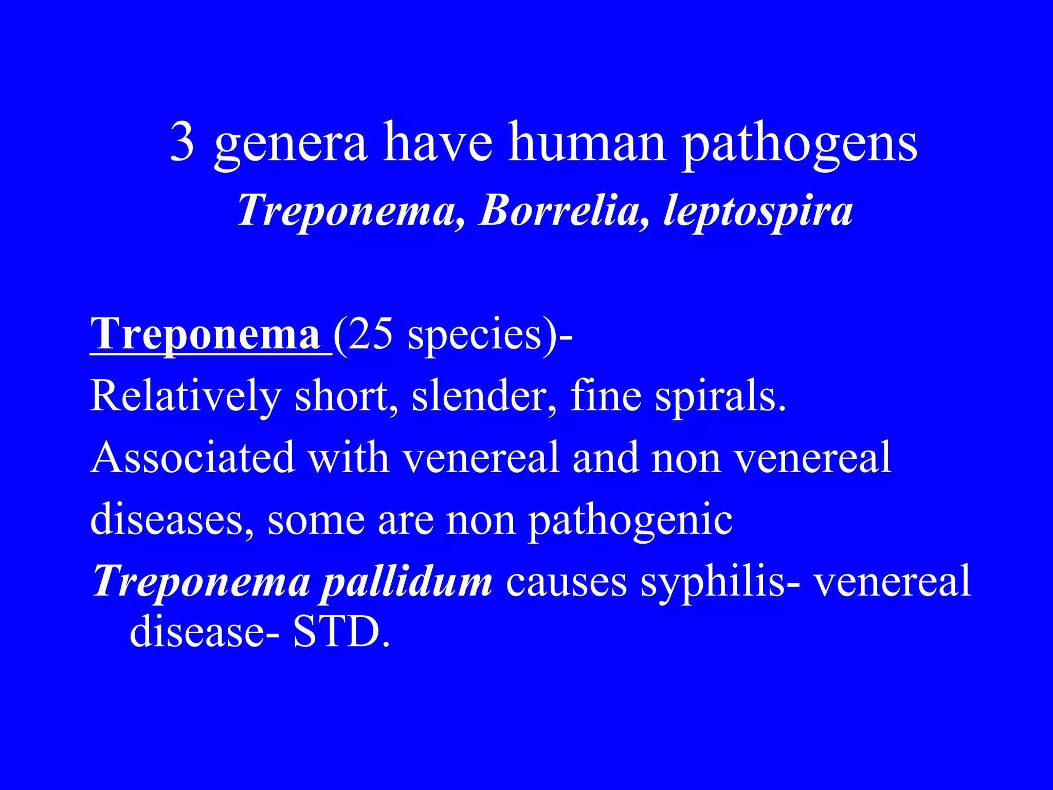 Treponema_pallidum.ppt