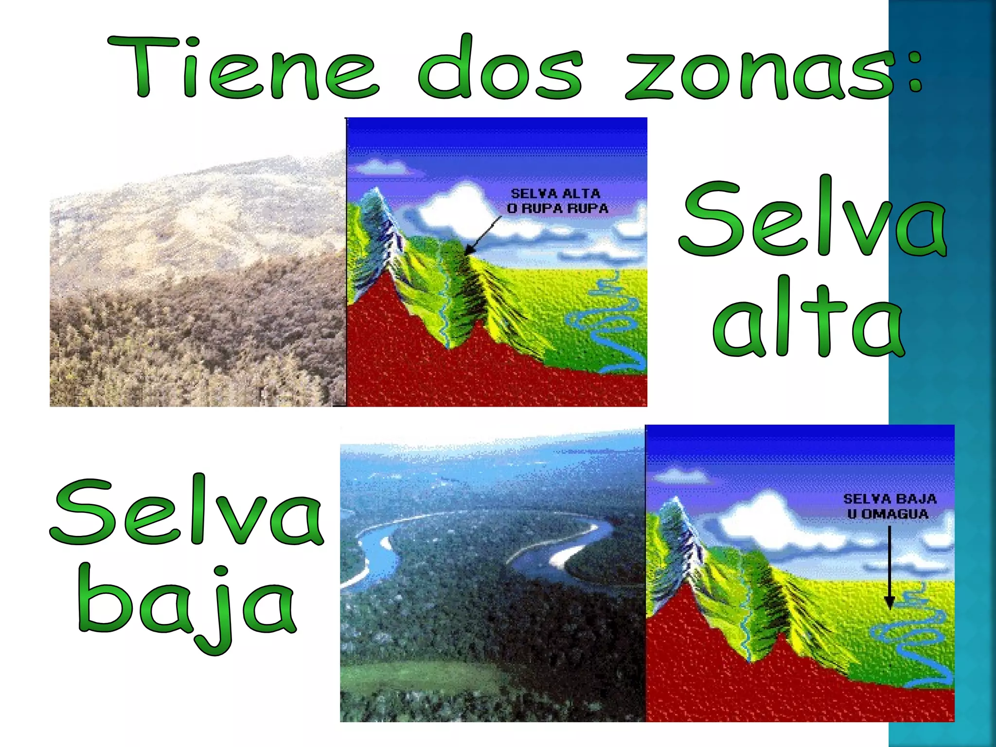 Tres regiones del peru | PPT