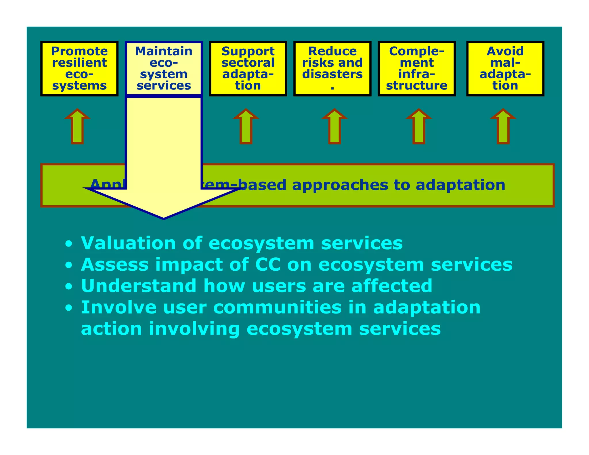 Ecosystem-based approaches to mitigation and adaptation at landscape ...