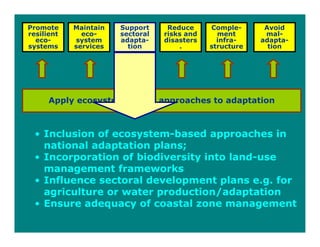 Ecosystem-based approaches to mitigation and adaptation at landscape ...