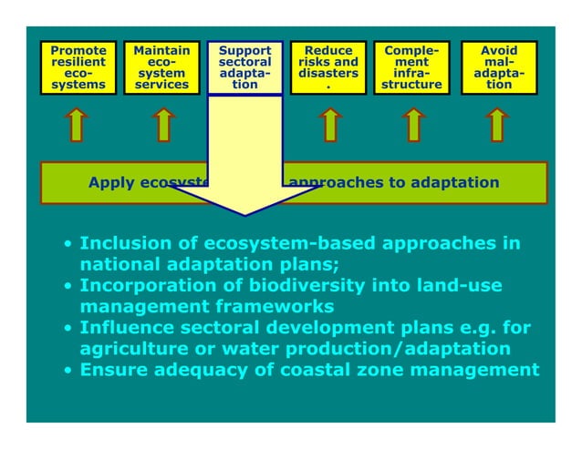 Ecosystem-based approaches to mitigation and adaptation at landscape and seascape scale: tools ...