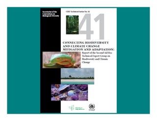 Ecosystem-based approaches to mitigation and adaptation at landscape and seascape scale: tools ...