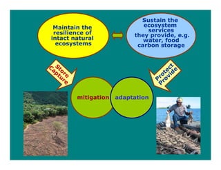 Ecosystem-based approaches to mitigation and adaptation at landscape and seascape scale: tools ...