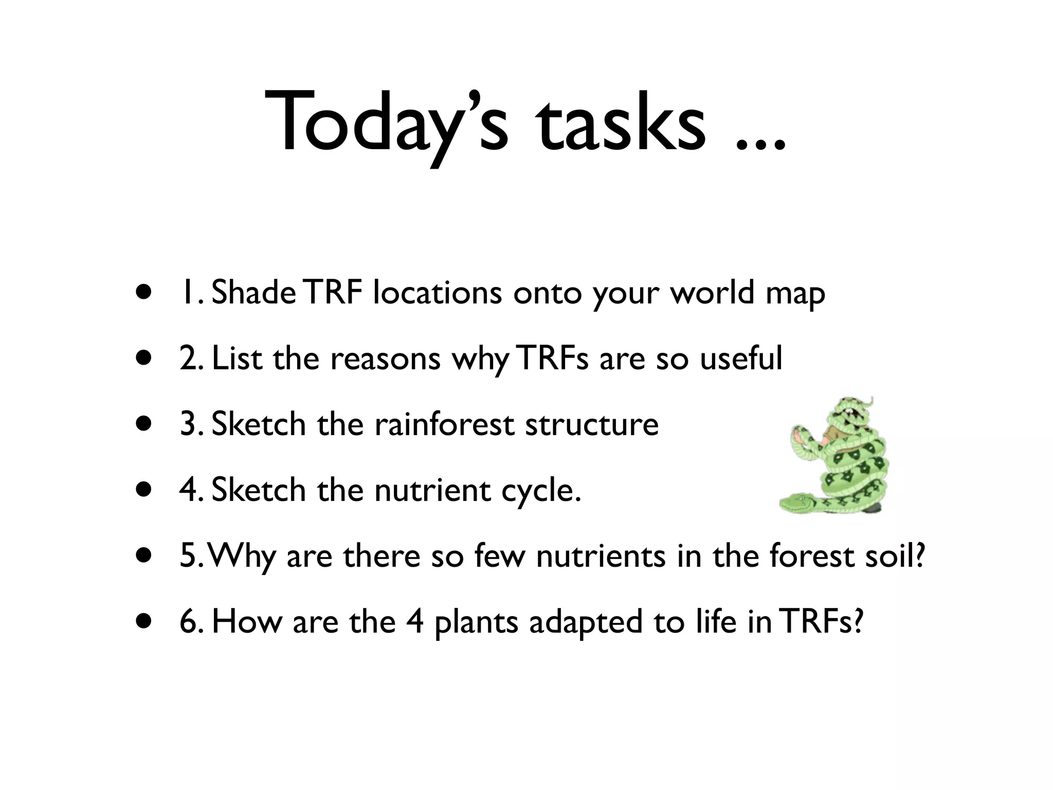 Tropical Rainforest intro | KEY