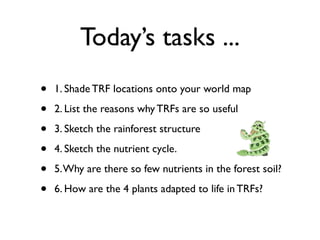 Tropical Rainforest intro | KEY