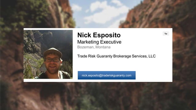 Monitoring Import Data with Eagle Eye Reporting | PPT