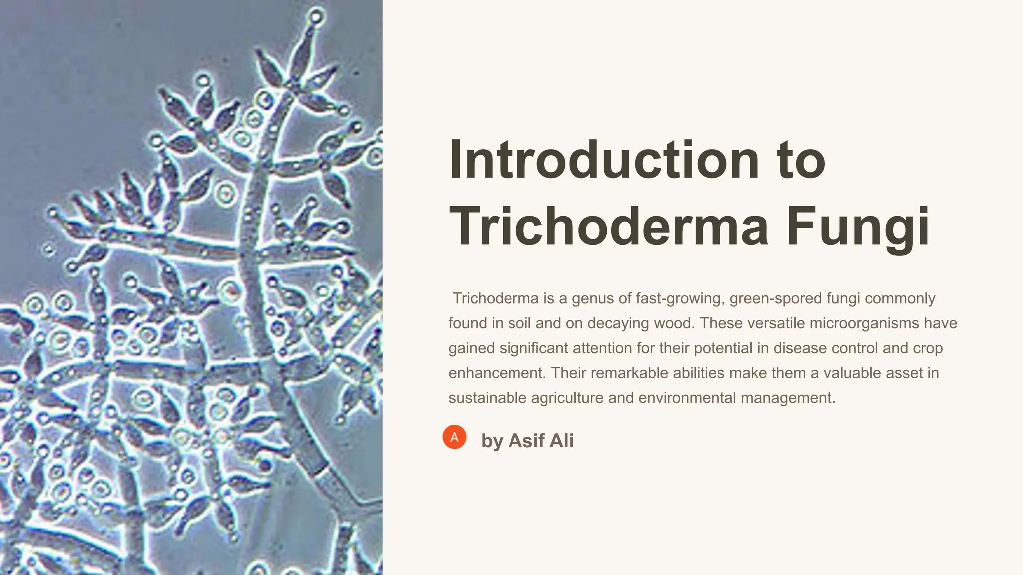 trichoderma fungi for disease introduction and methodology | PPTX