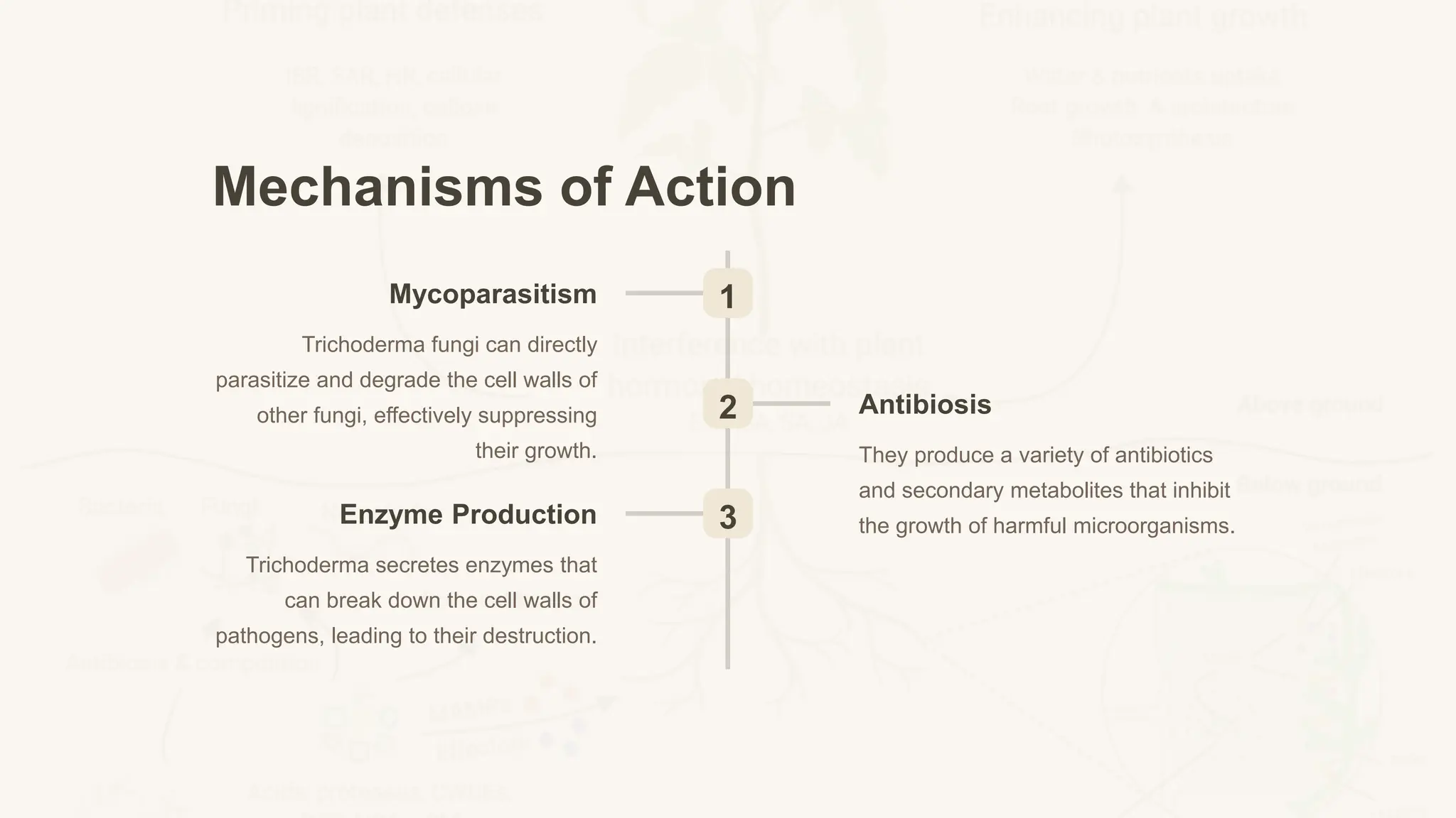trichoderma fungi for disease introduction and methodology | PPTX