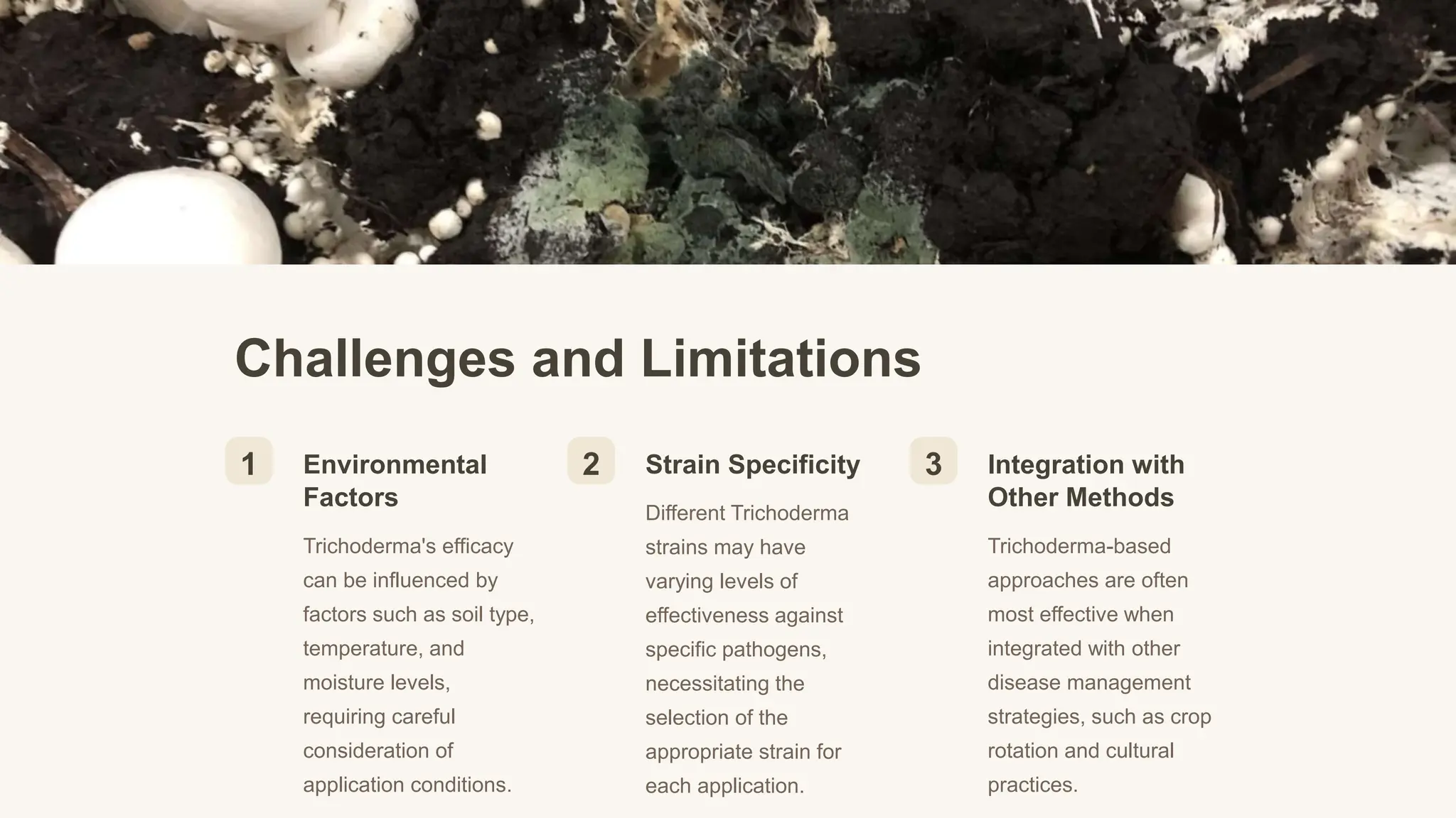 trichoderma fungi for disease introduction and methodology | PPTX