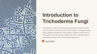 trichoderma fungi for disease introduction and methodology | PPTX