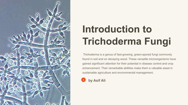 trichoderma fungi for disease introduction and methodology | PPTX