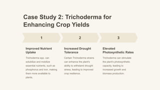 trichoderma fungi for disease introduction and methodology | PPTX