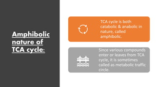 Tri-Carboxylic Acid (TCA) cycle | PPTX