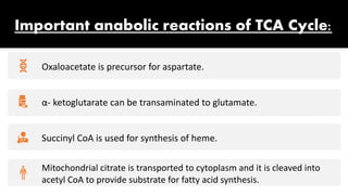 Tri-Carboxylic Acid (TCA) cycle | PPTX