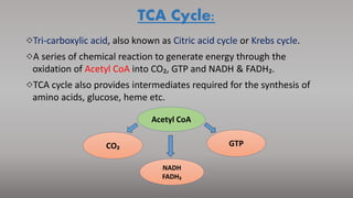 Tri-Carboxylic Acid (TCA) cycle | PPTX
