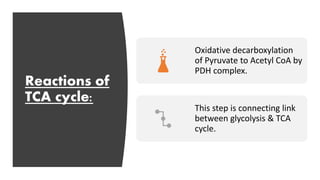 Tri-Carboxylic Acid (TCA) cycle | PPTX