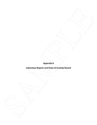 Tri-Tech sample LBP-RA report | PDF