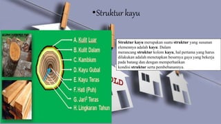 Karakteristik kayu dan sifat-sifat kayu - Konstruksi Kayu | PPT