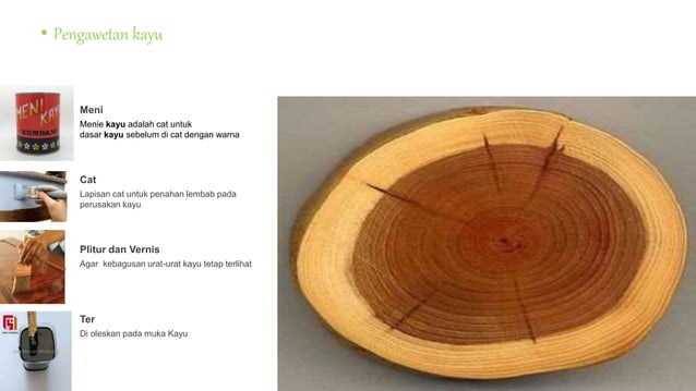 Karakteristik kayu dan sifat-sifat kayu - Konstruksi Kayu | PPT
