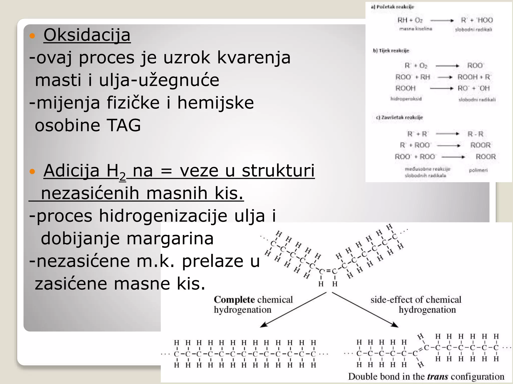 Triacilgliceroli | PPTX