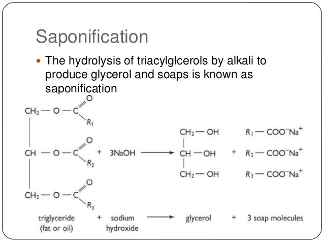 Triacylglycerol
