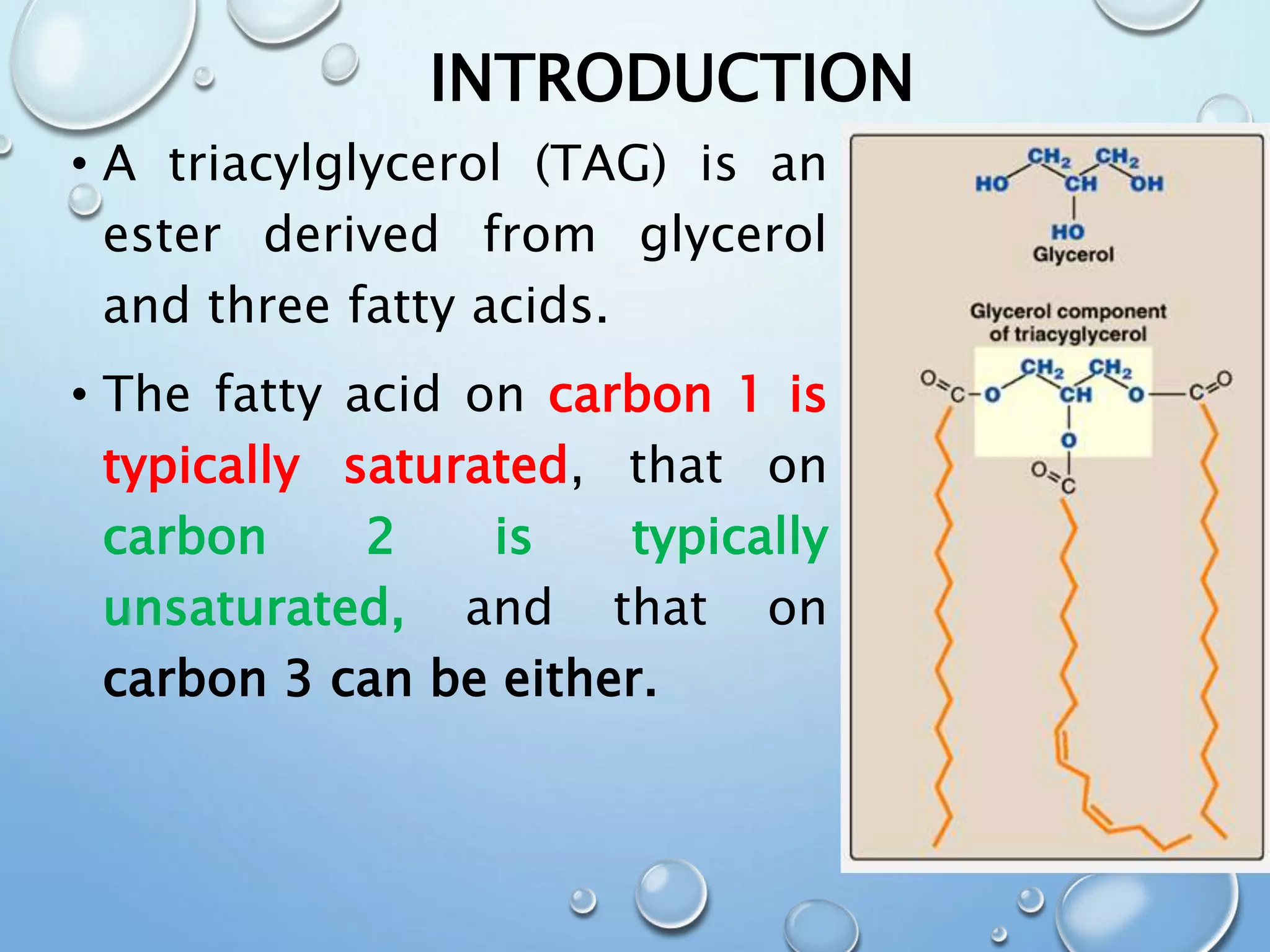 Triacylglycerol and compound lipid metabolism | PPTX
