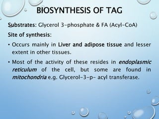 Triacylglycerol and compound lipid metabolism | PPTX