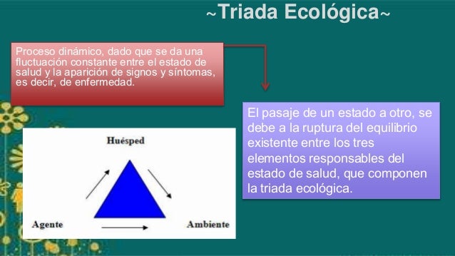Elementos Que Conforman La Triada Ecologica - slingo