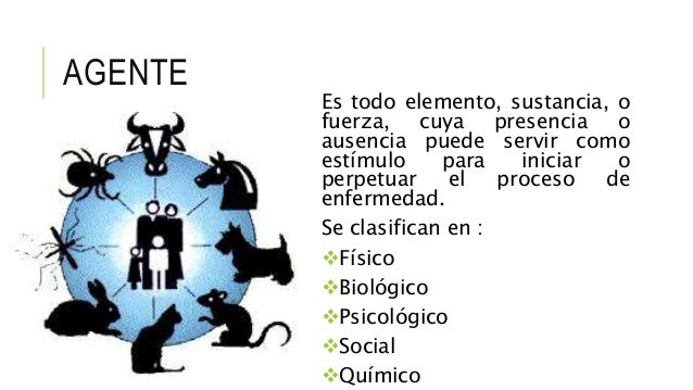 Triada ecológica.agente (1)