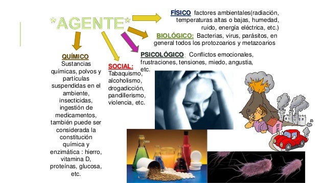 Triada ecológica.agente (1)