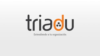 Triadu entendiendo a tu organización | PPT