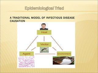 Triad wheel web new | PPT