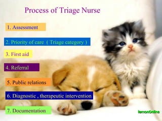Triage | PPT