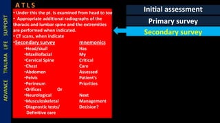 Triage | PPTX