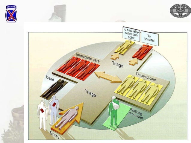 triage.ppt | Free Download